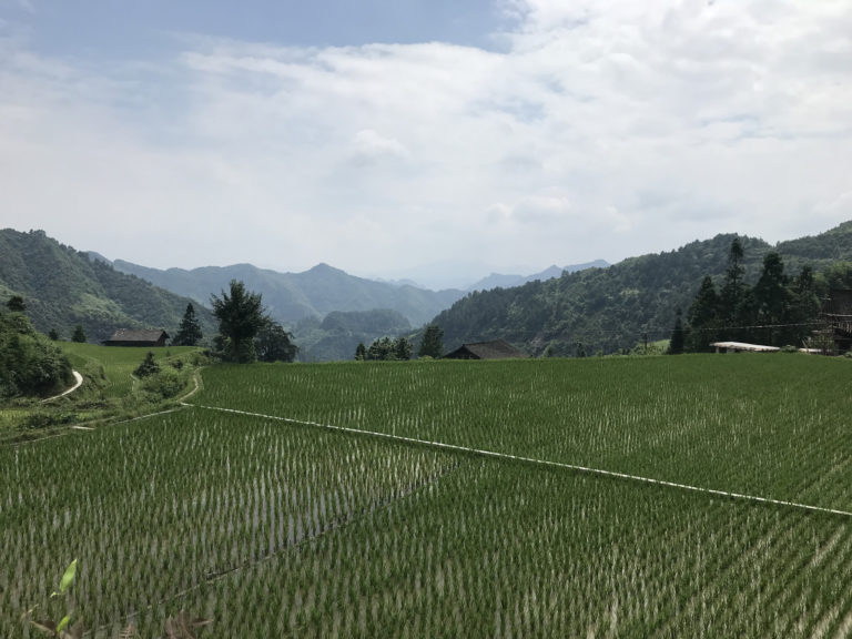 Kelly Robson – Science Fiction + Fantasy + Horror